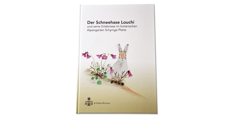 Jungfrau - Top of Europe - "Louchi the Snow Hare" children's book (in ...