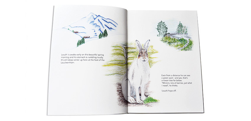 Jungfrau - Top of Europe - Kinderbuch "Der Schneehase Louchi" - Englisch
